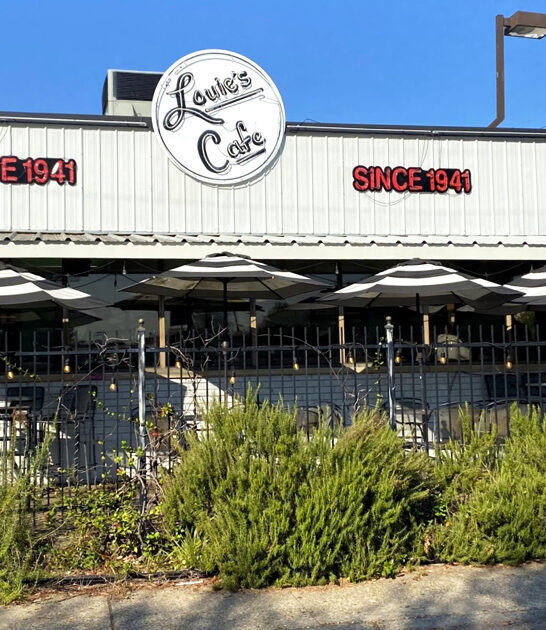 french fries restaurant louisiana ftr