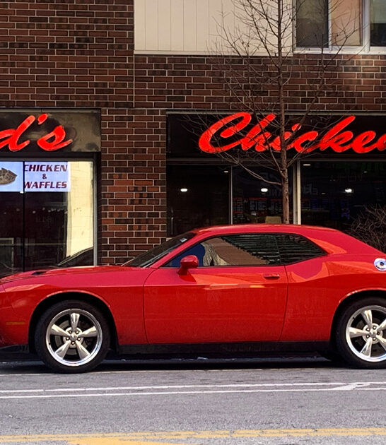 fried gizzards restaurant illinois ftr