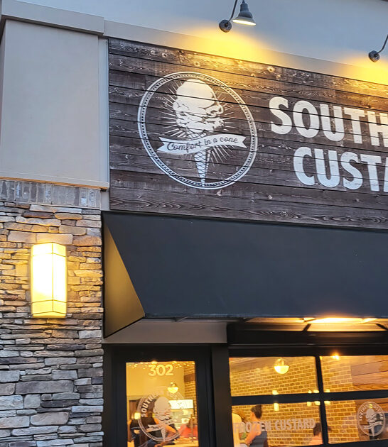 frozen custard georgia obsessed ftr