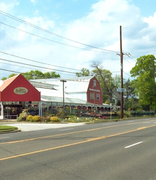 fun cities new jersey ftr