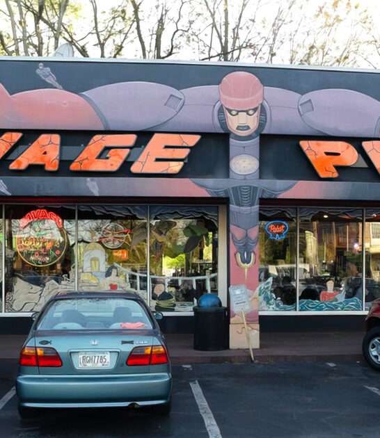 georgia pizza lovers destination ftr