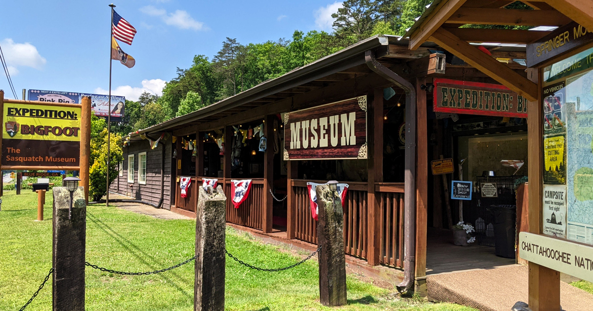 This Quirky Museum In Georgia Houses The World’s Largest Collection Of ...