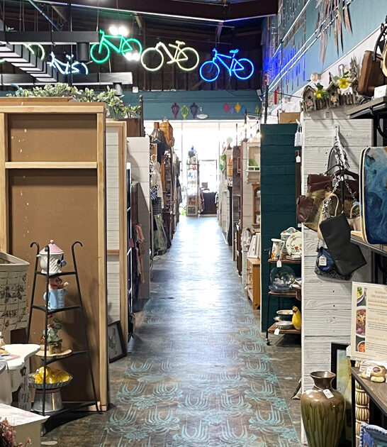 giant thrift store california ftr