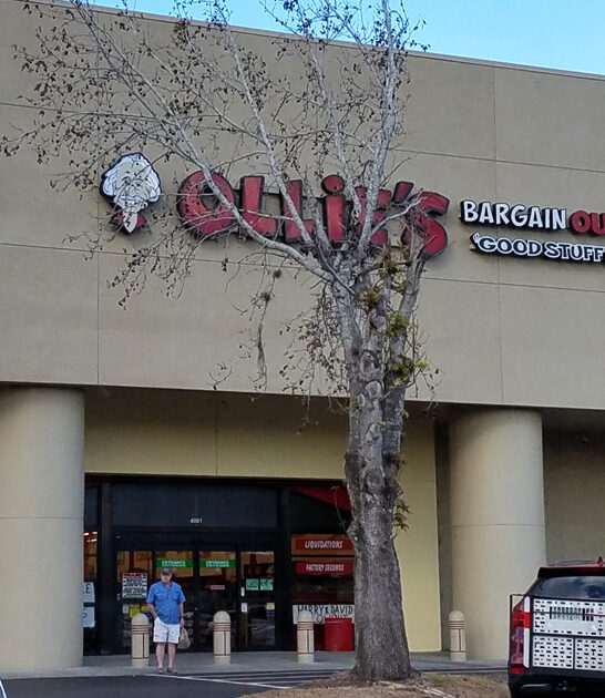 gigantic bargain store florida ftr