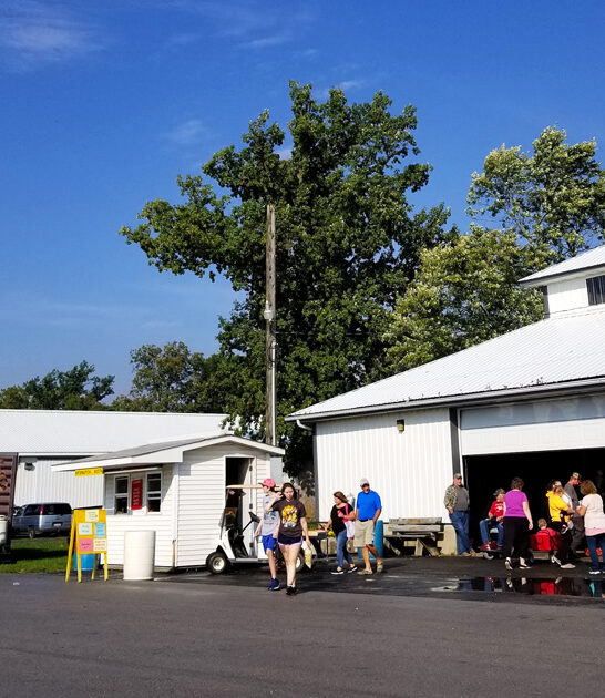 gigantic flea fair ohio ftr