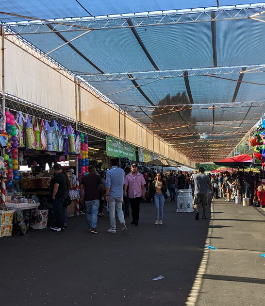 gigantic flea market california ftr