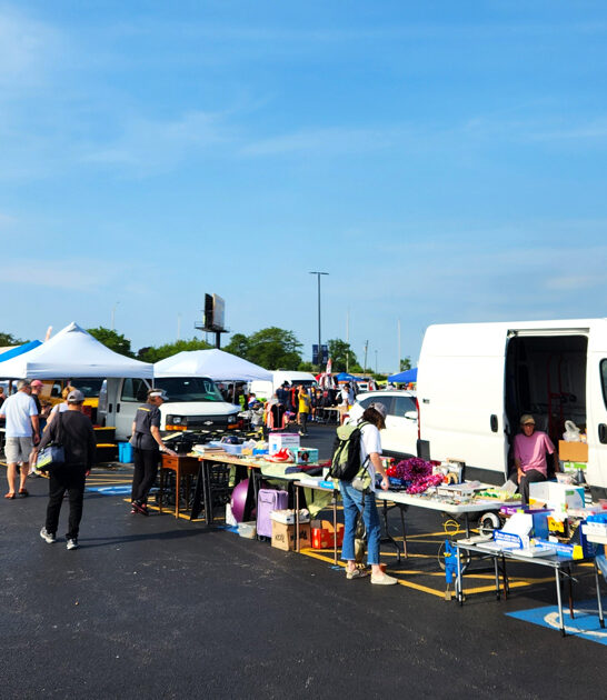 gigantic flea markets illinois ftr