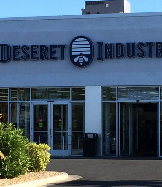 gigantic nevada thrift stores ftr