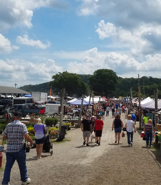 gigantic ohio market ftr