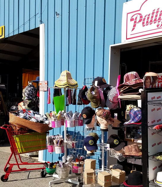 gigantic store georgia thrift ftr
