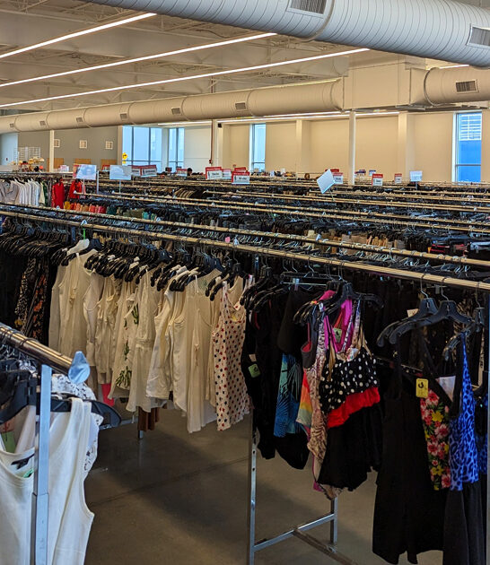 gigantic thrift stores delaware ftr
