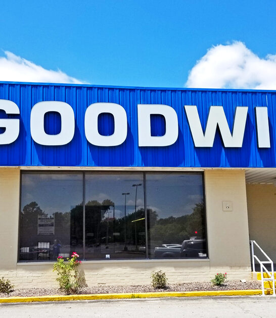 gigantic thrift stores illinois ftr