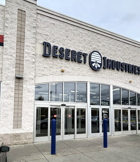 gigantic thrift stores utah ftr