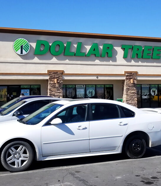 good dollar store nevada ftr