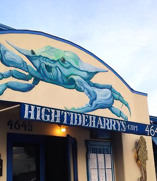 good hush puppies florida ftr