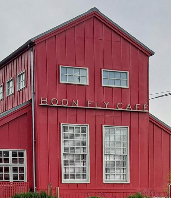 good sandwich california trip ftr