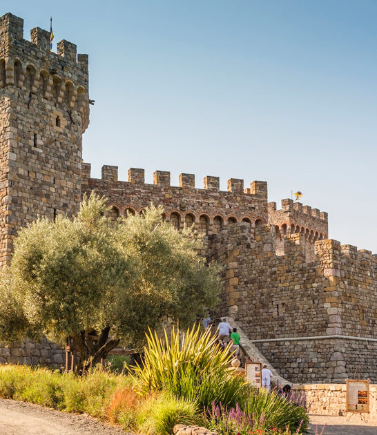 gorgeous castles california ftr