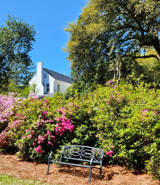 gorgeous garden south carolina ftr