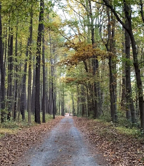 gorgeous mile hike delaware ftr