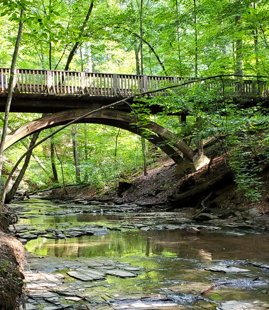 gorgeous peaceful park ohio ftr