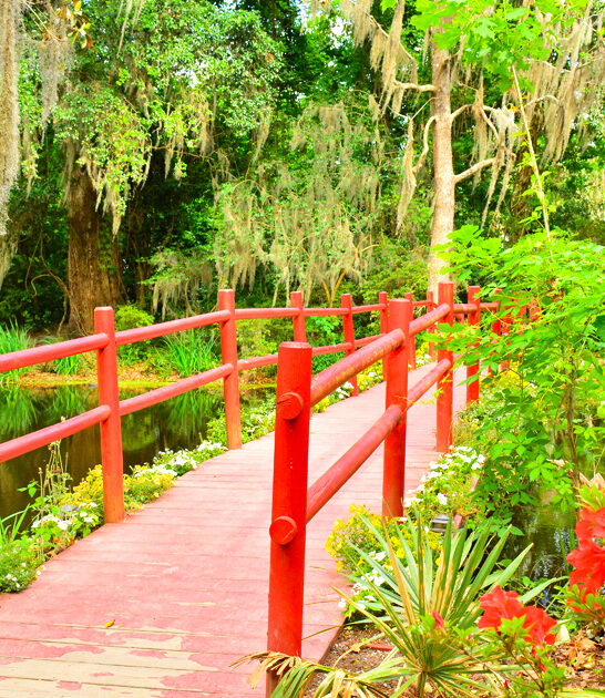 gorgeous south carolina garden ftr