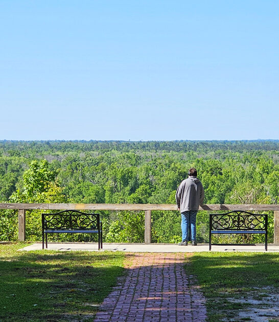 gorgeous state florida park ftr