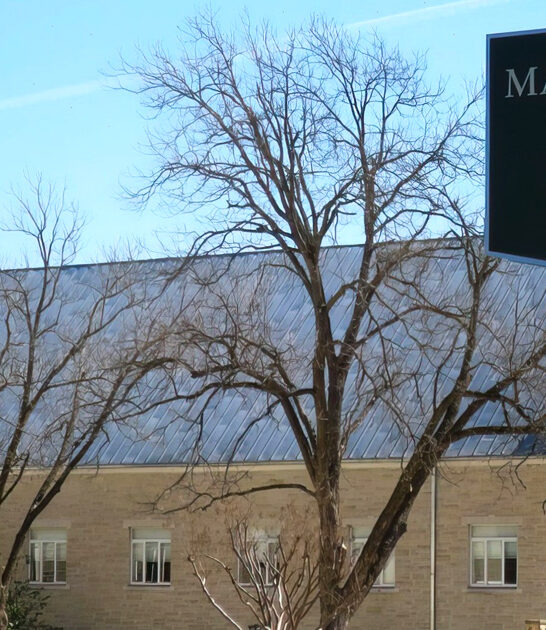 gorgeous texas small town ftr