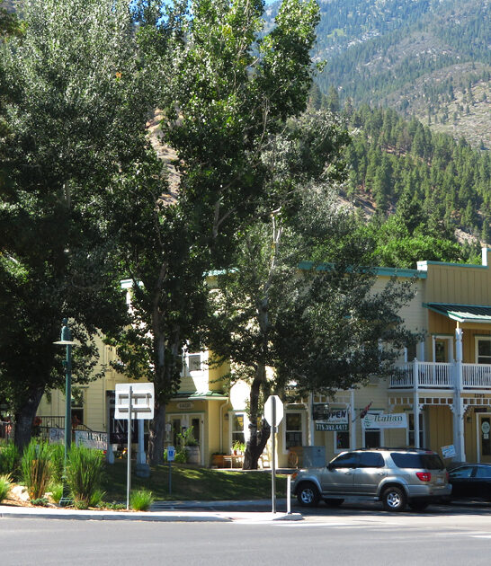 gorgeous town nevada dream ftr