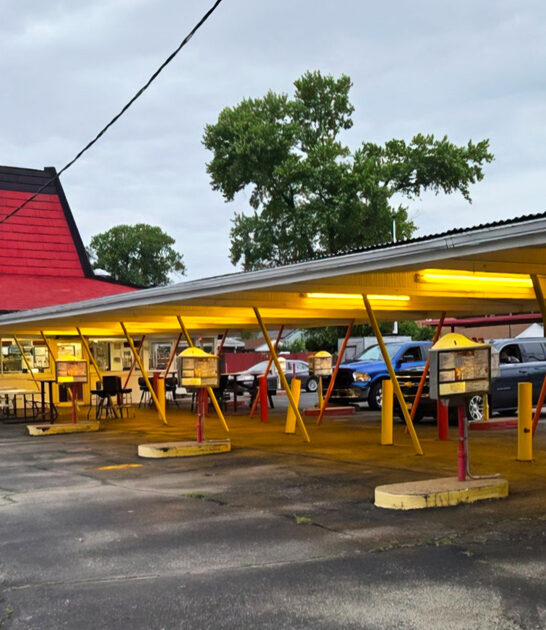 great coney dogs illinois ftr
