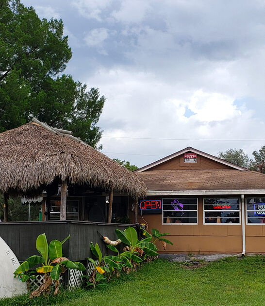 grouper sandwich delicious florida ftr