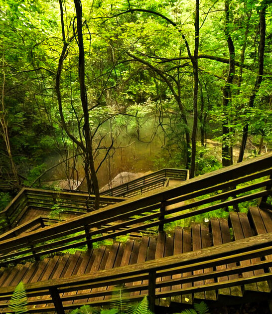 hidden park florida state ftr