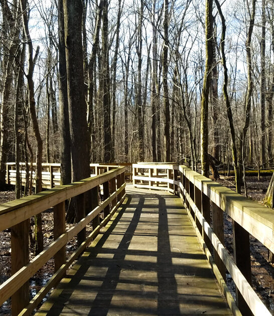 hidden tennessee state park ftr