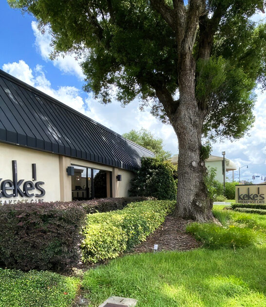 home fries florida dream ftr