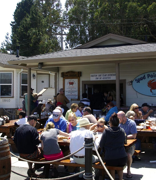 homey california clam chowder ftr