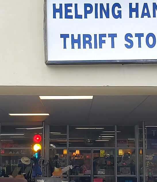 huge thrift stores alabama ftr