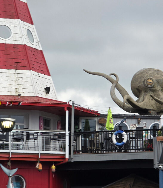 humble restaurant pennsylvania oysters ftr