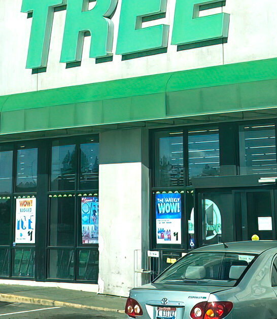 idaho enormous dollar store ftr