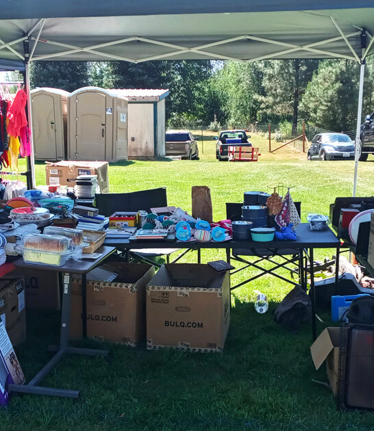 idaho enormous flea markets ftr