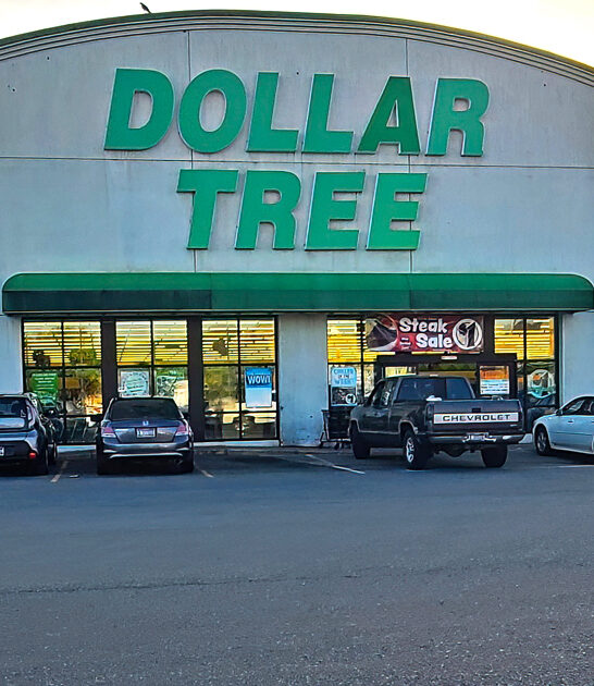 idaho good dollar store ftr