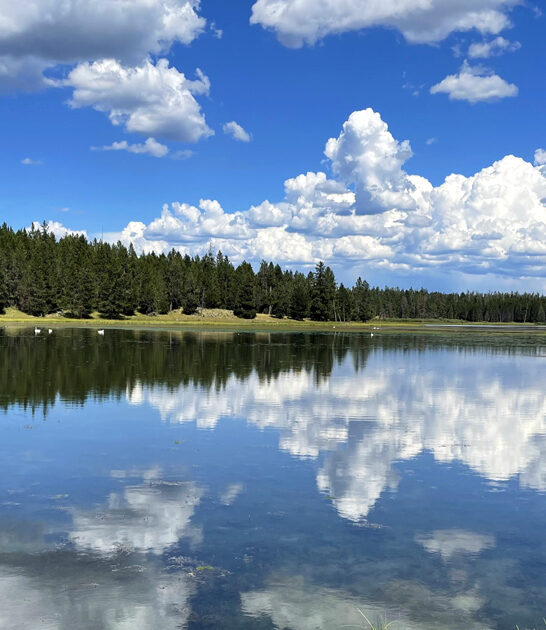 idaho nature park escape ftr