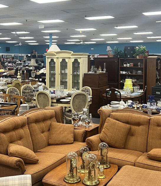 illinois bargains store thrift ftr