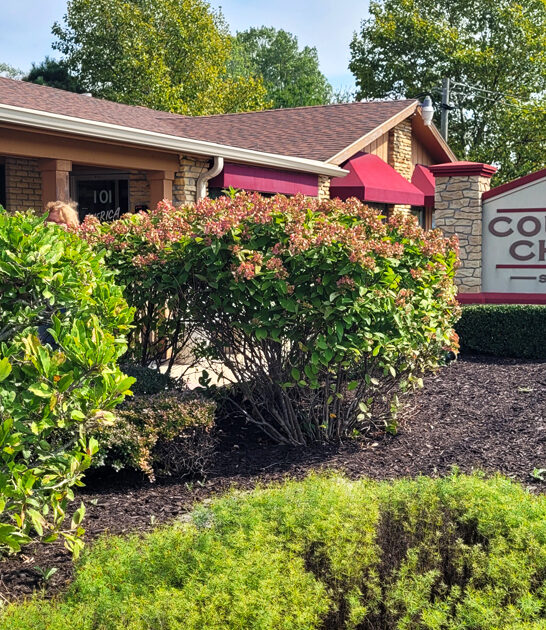 illinois biscuits gravy restaurant ftr