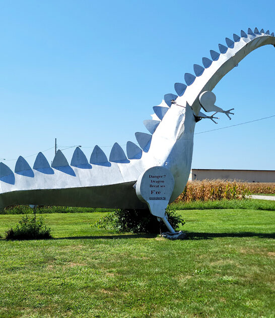 illinois enormous metal dragon ftr