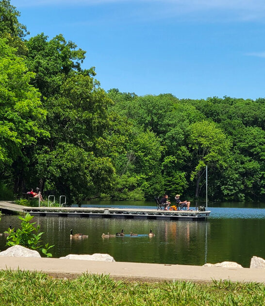illinois forest haven hidden ftr