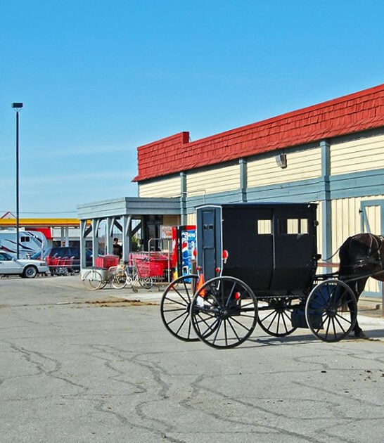 indiana amish food town ftr