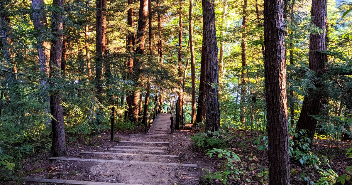 8 State Parks In Indiana That Feel Like National Parks But Without The ...