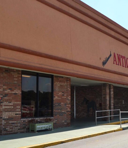 indiana restaurant broccoli salad ftr