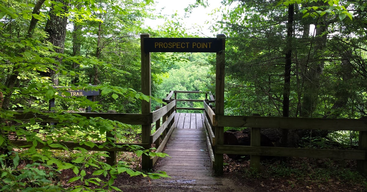 The Stunning State Park In Indiana That's Almost Too Beautiful To Be Real