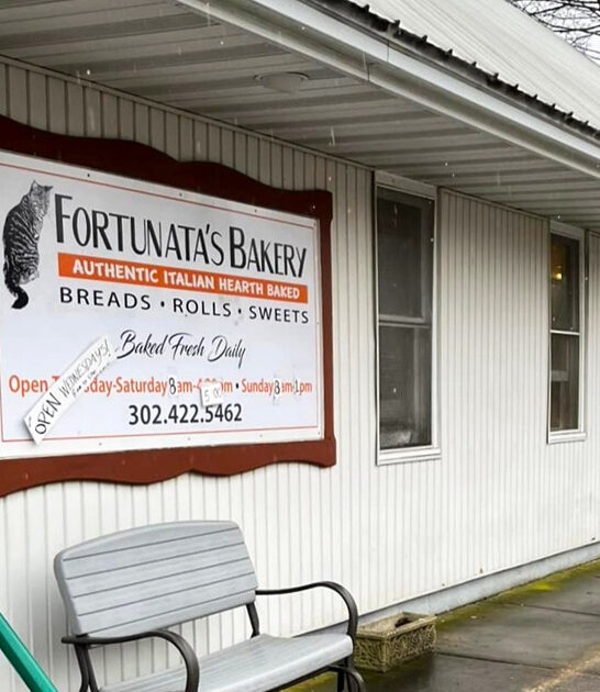 italian rolls bakery delaware ftr