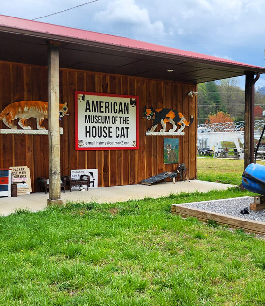 known north carolina museum ftr